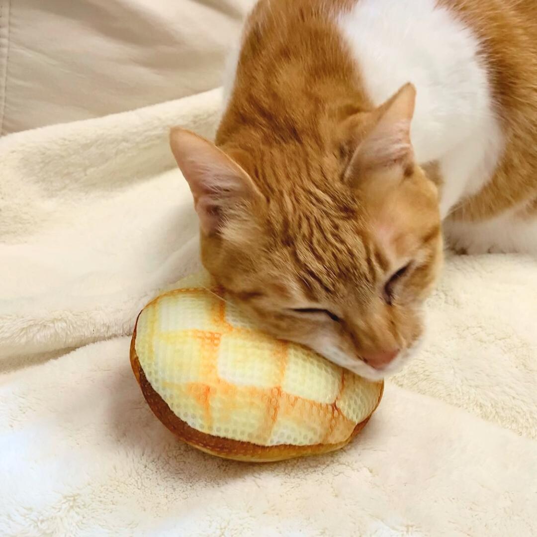3 Meow Matatabi Cat Toy Melon Bun - Etsy