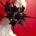 Spiked Knight Mask or Headpiece - Etsy