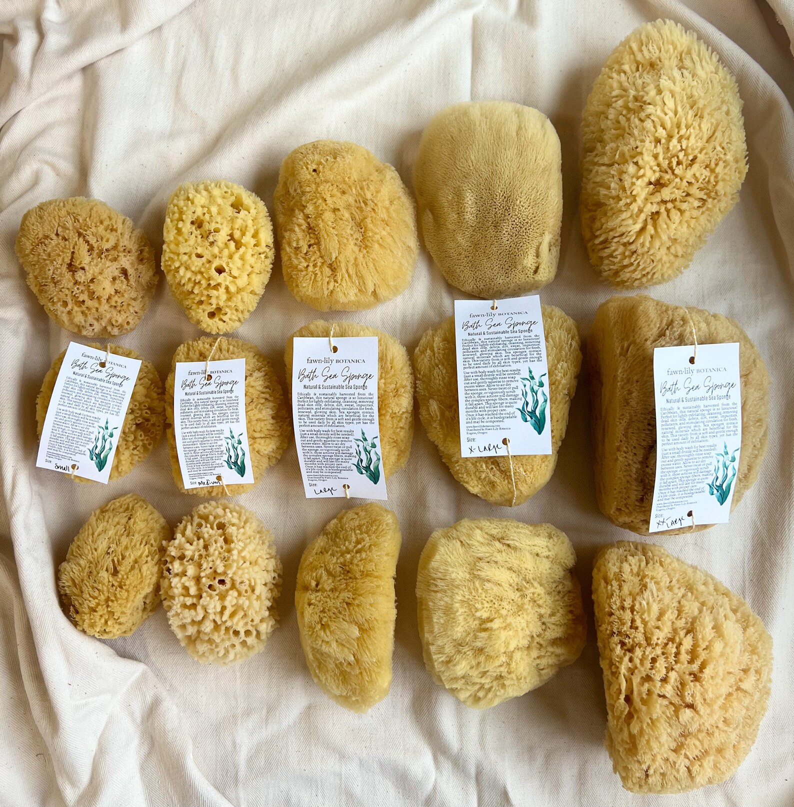 Sustainable Bath Sea Sponges - Natural Gentle Body Exfoliation for Bath ...