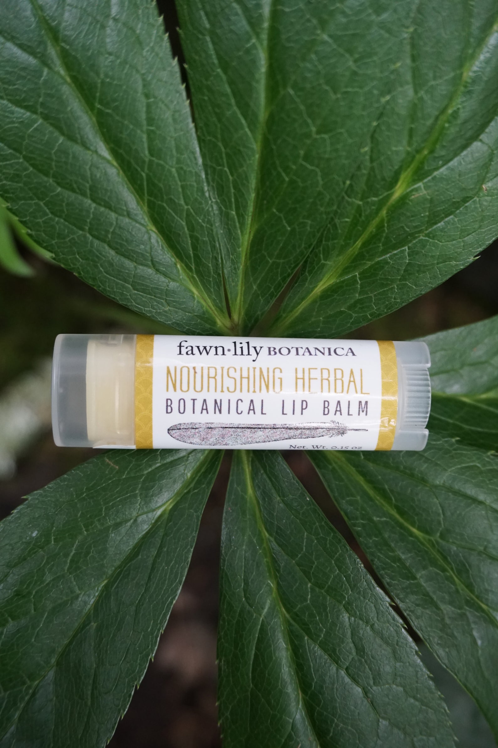Nourishing Herbal Botanical Lip Balm Natural Handcrafted Lip Balm Made ...