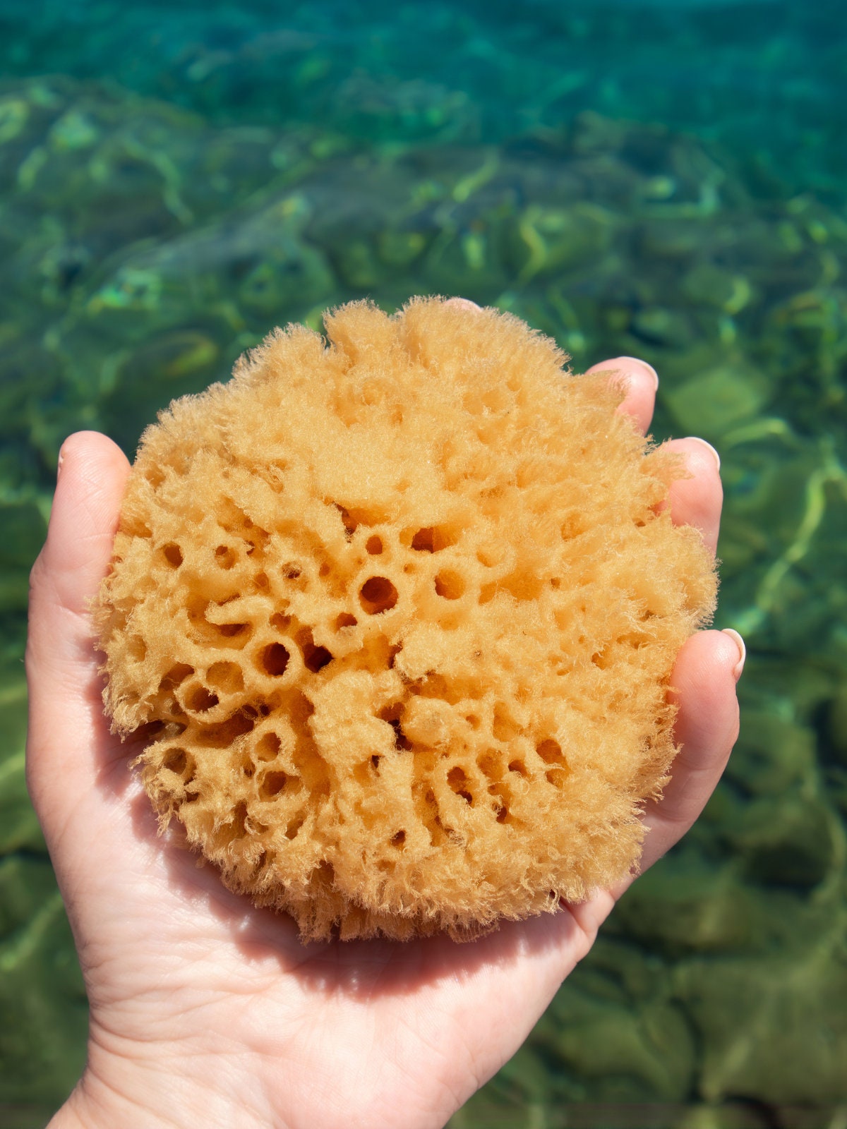 Natural & Sustainable Premium Bath Sea Sponges - Gentle Exfoliation for ...