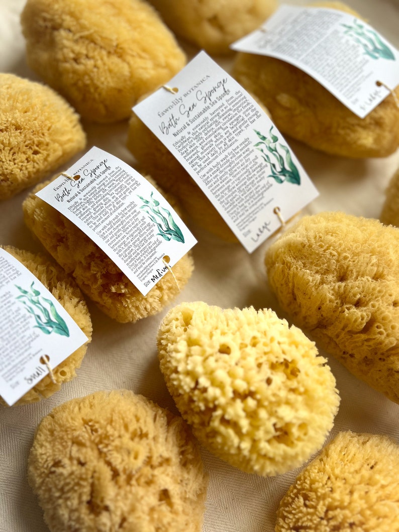 Sustainable Bath Sea Sponges - Natural Gentle Body Exfoliation for Bath ...