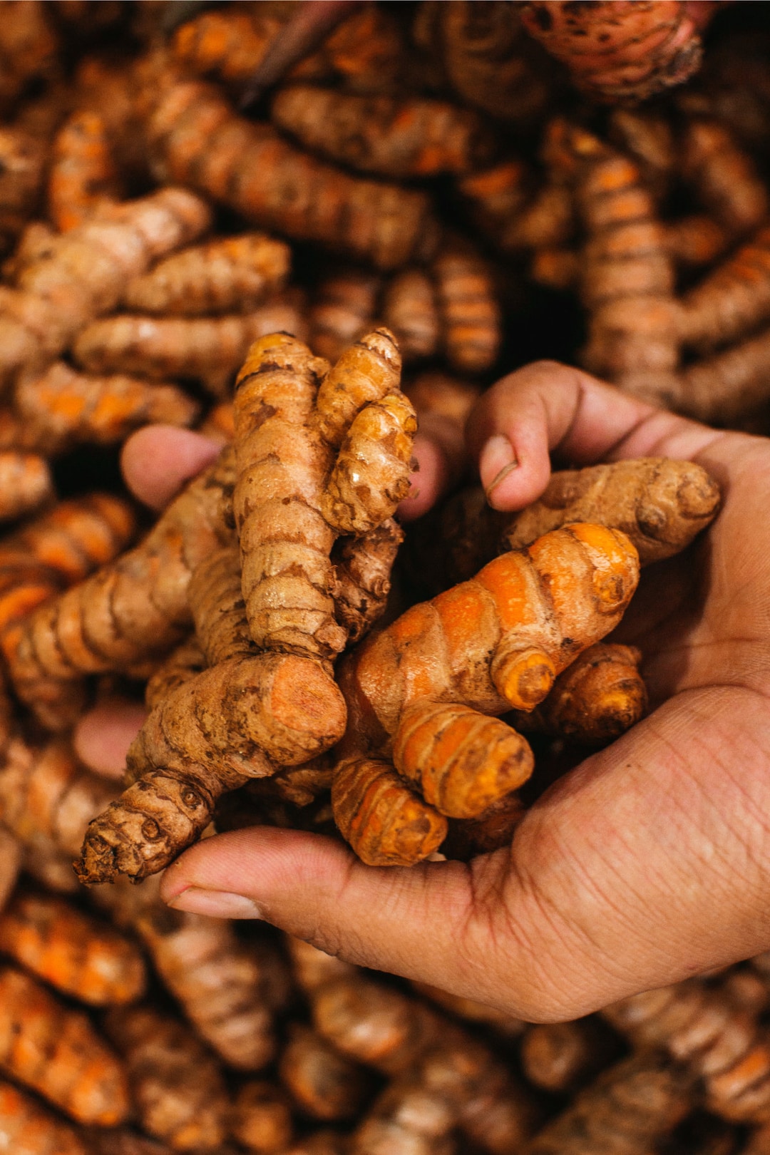 Organic Turmeric Root Hydrosol - Preservative-free Toner and Muscle Rub ...