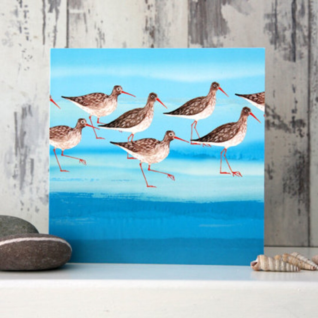 Redshanks Greetings Card - Blank Card - Seaside Art - Note Card - Bird ...
