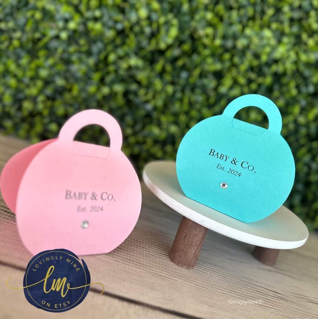 Small Purse Shaped Favor Bags in Light Teal Aqua Robins Egg Blue ...