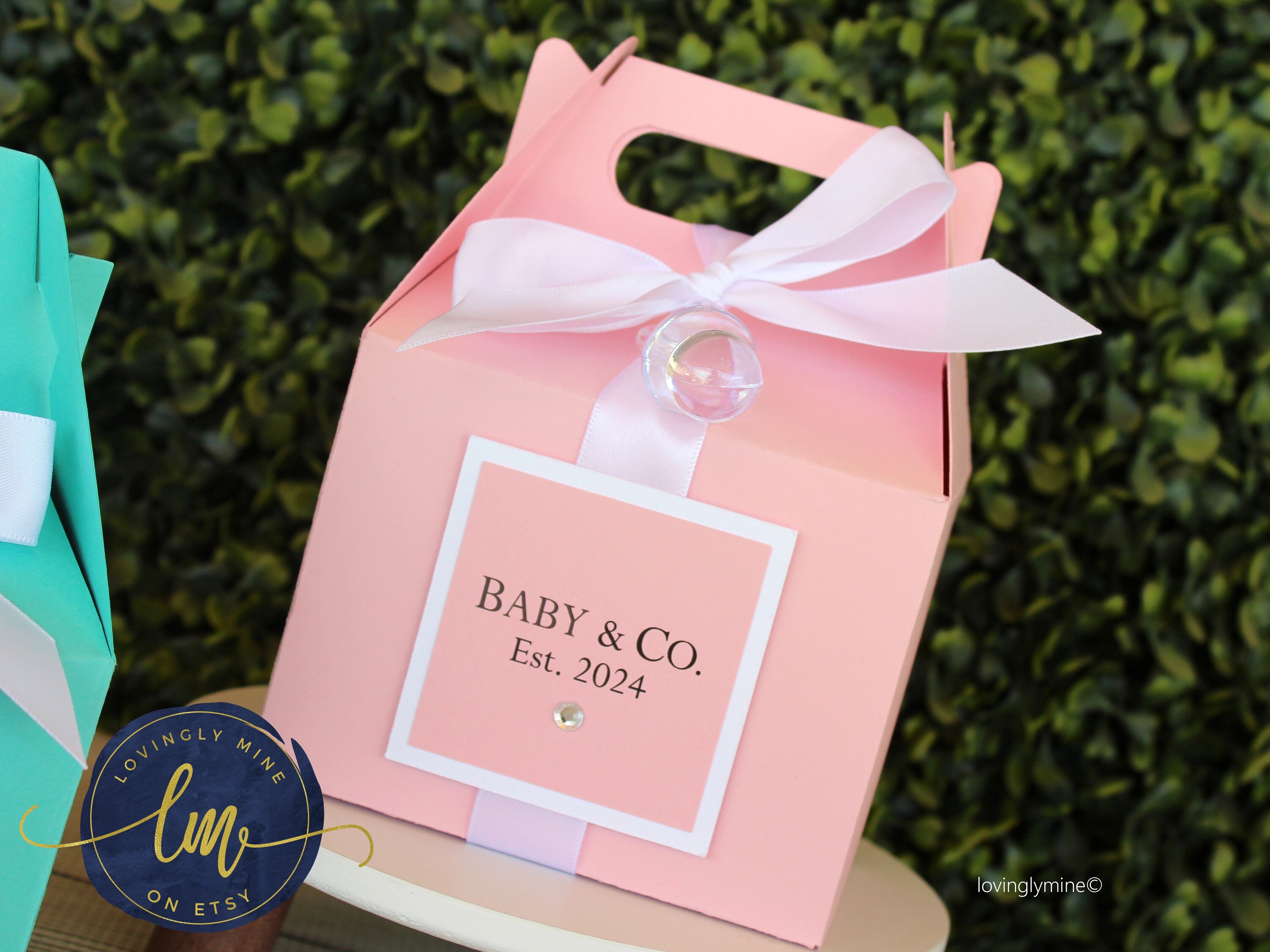 Small Gable Box Favors in Baby and Company Theme, Baby Pink, Light Teal ...