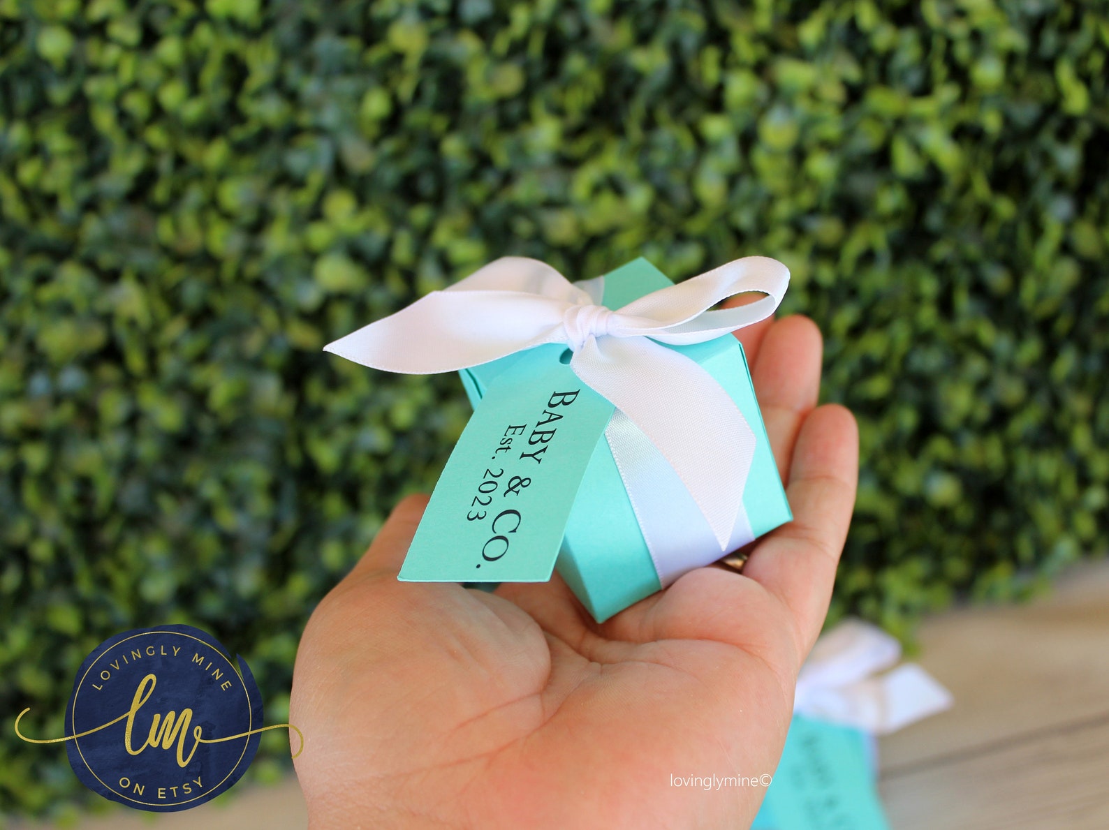 Baby & Company Favor Boxes With Matching Tags in Light Teal With White ...