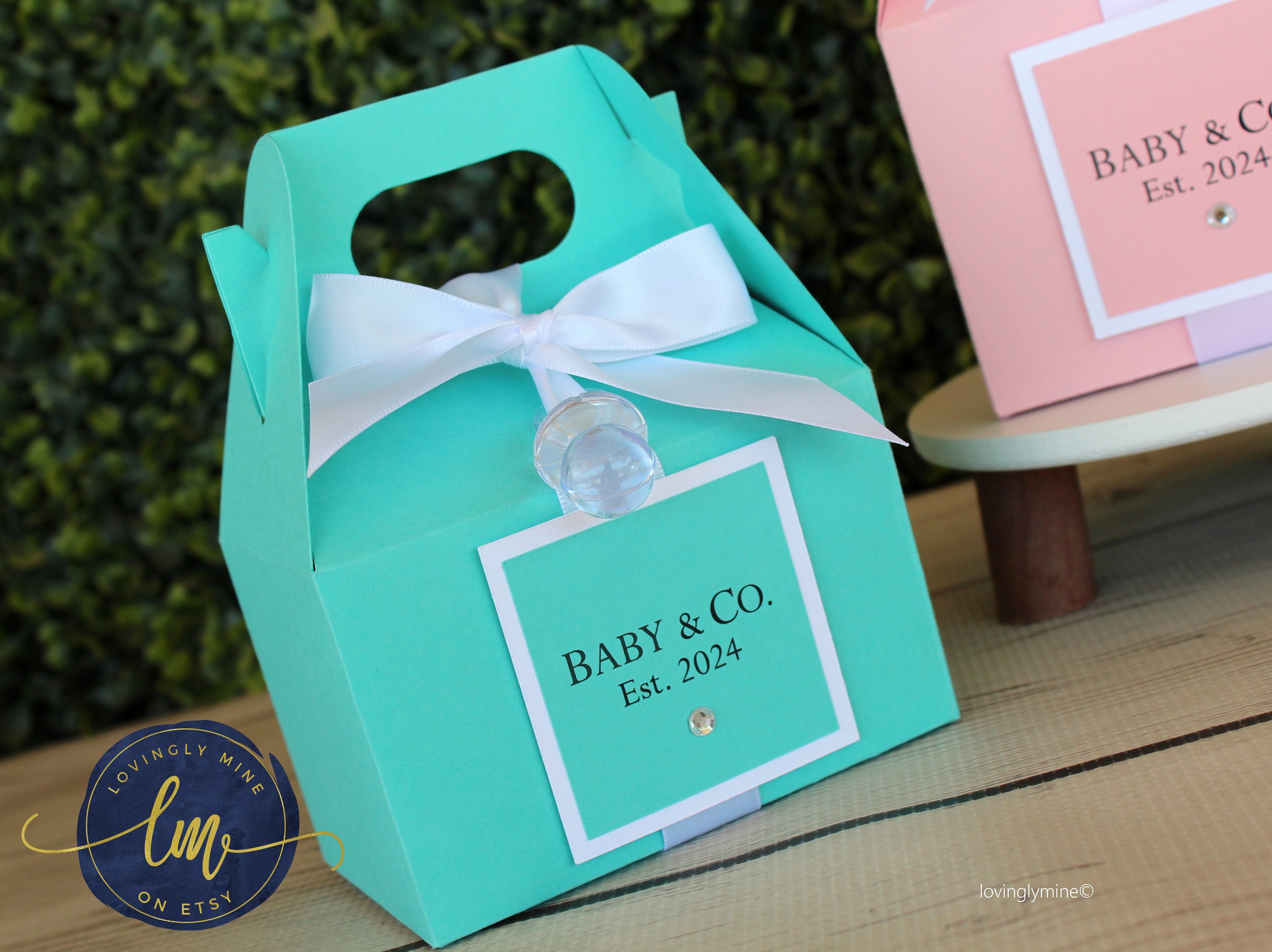 Small Gable Box Favors in Baby and Company Theme, Baby Pink, Light Teal ...