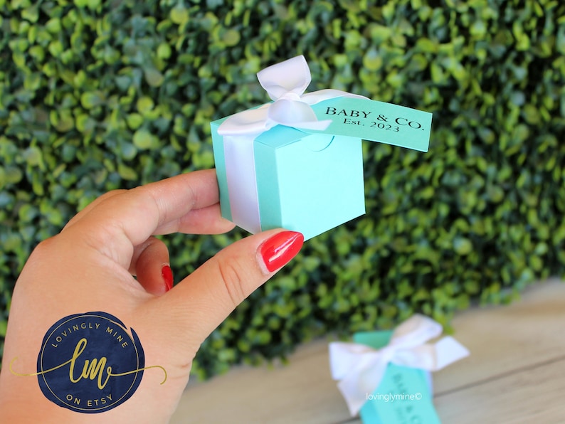 Baby & Company Favor Boxes With Matching Tags in Light Teal With White ...