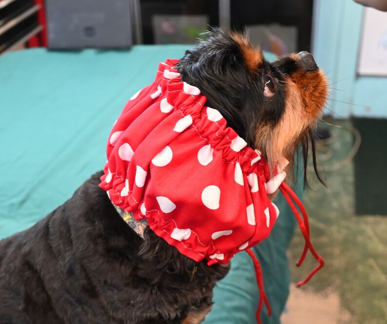 Mrs. Tyrrell's Small Dog Bath Cap Dog Snood Red Polka - Etsy