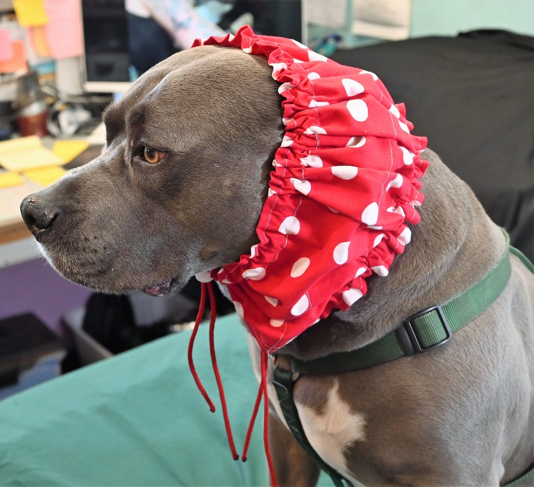 Mrs. Tyrrell's Dog Bath Cap Dog Snood Red Polka Dots for - Etsy