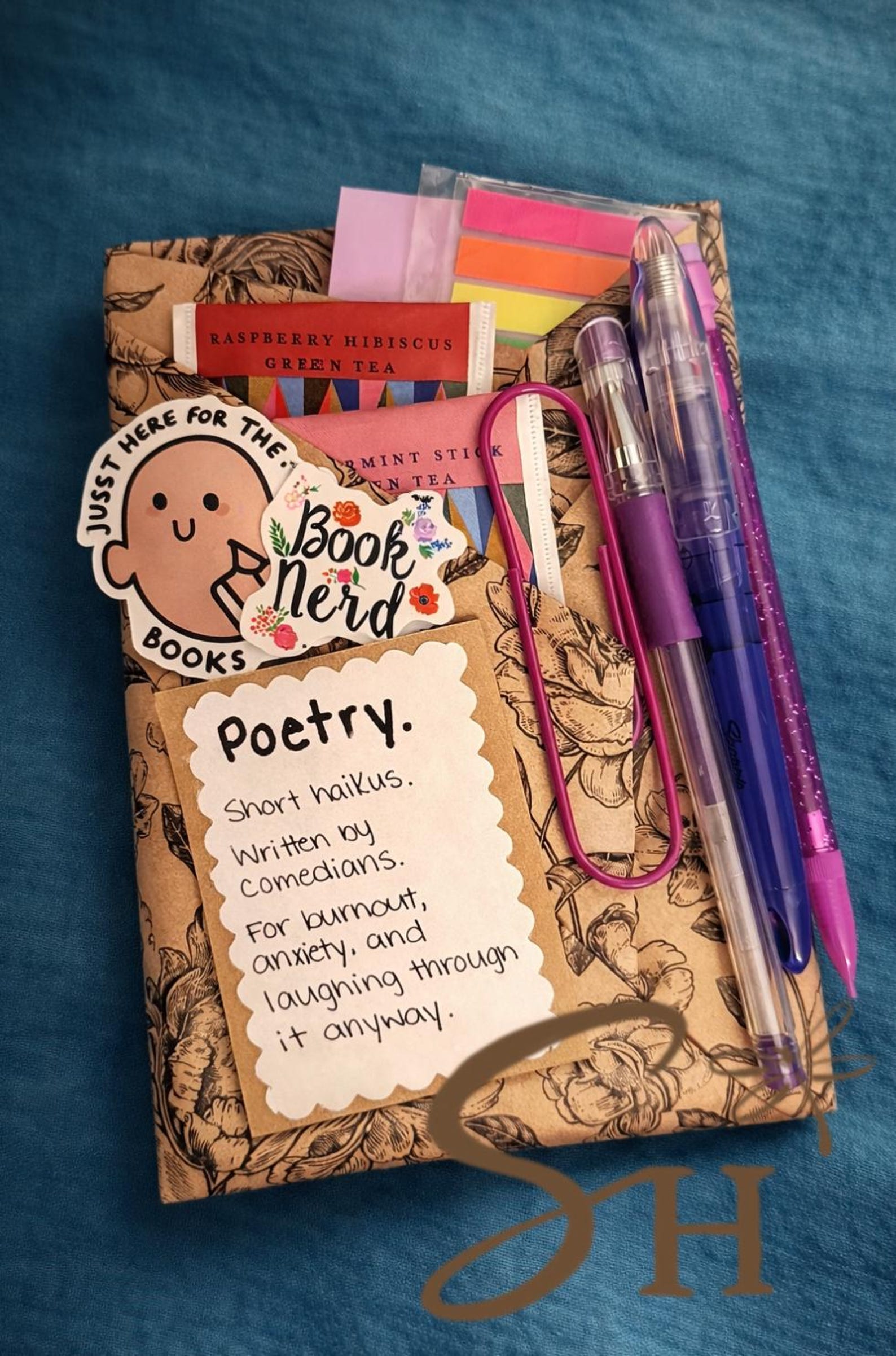 Blind Date With a Book — Wrapped Surprise Read | Book Lover Gift - Etsy