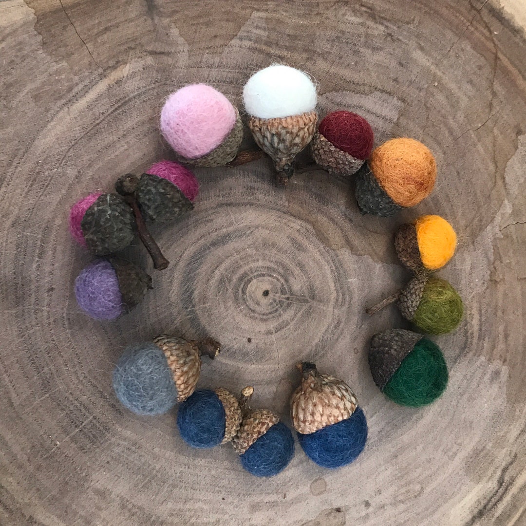 Set of 25 Wool Felted Acorns With Real Caps - Etsy