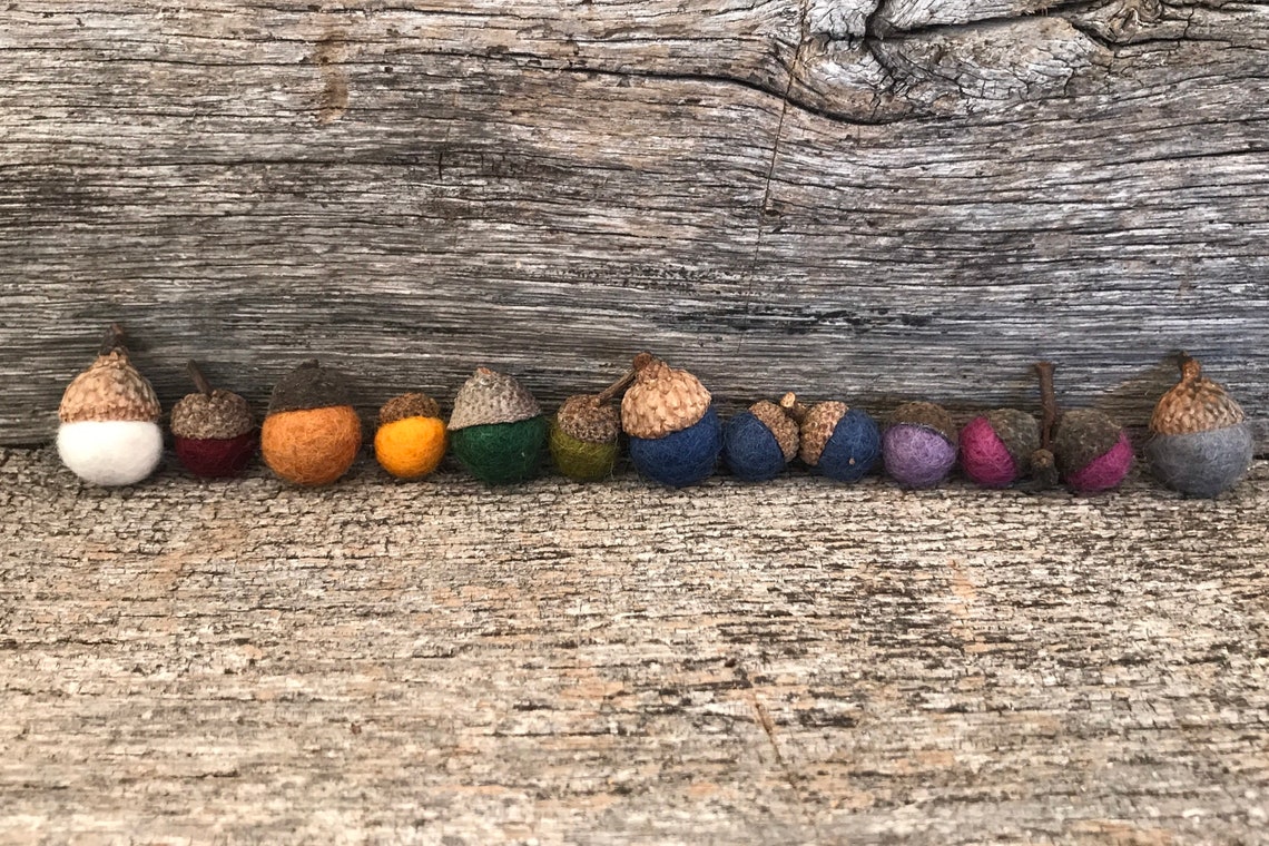 Set of 25 Wool Felted Acorns With Real Caps | Etsy