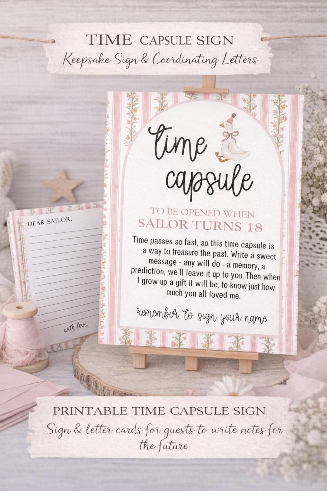 One Silly Goose Time Capsule Sign | First Birthday Keepsake (digital ...