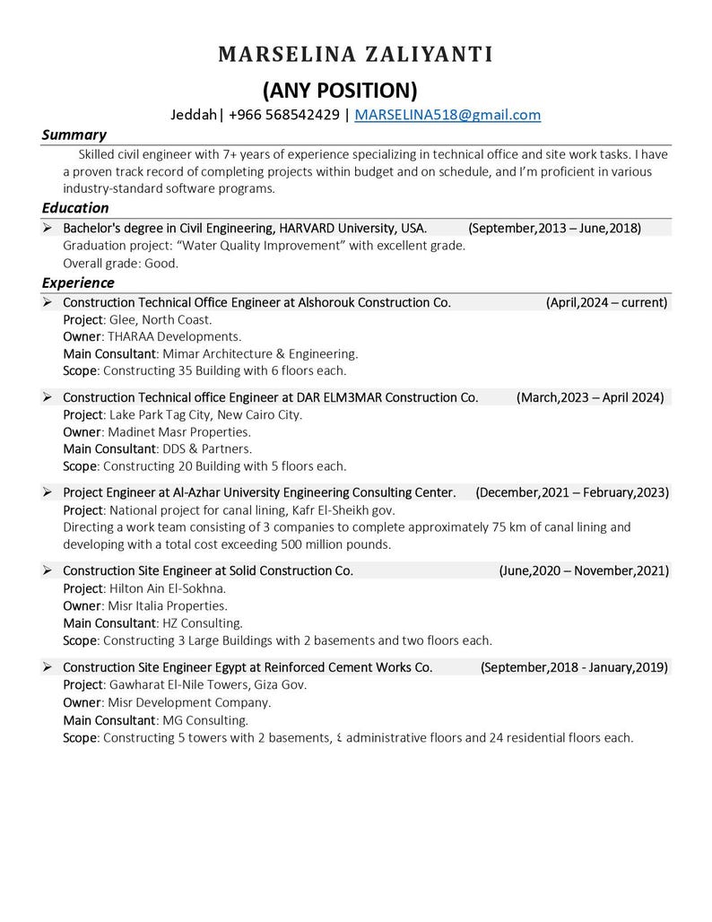 The Elite Professional Resume Template: 3-page Modern CV Bundle for ...