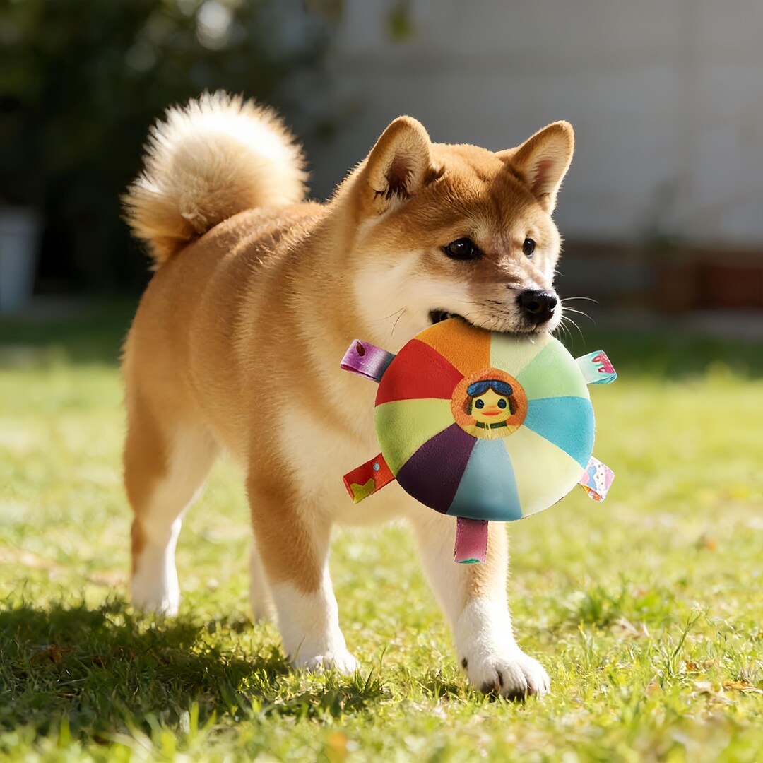 Squeaky Furry Frisbee Dog Toy–extra Plush Tug Toy for Small Medium ...