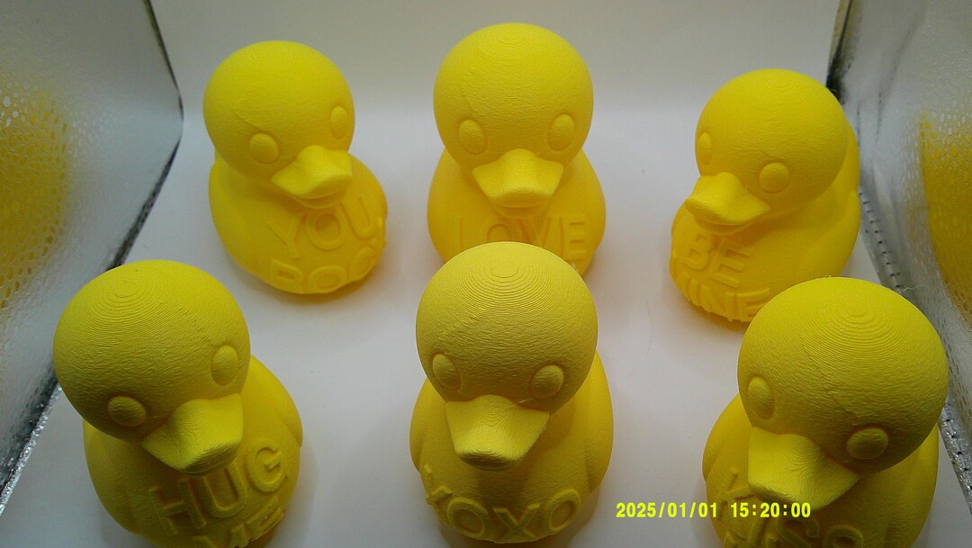 3D Printed Conversation Ducks - Etsy