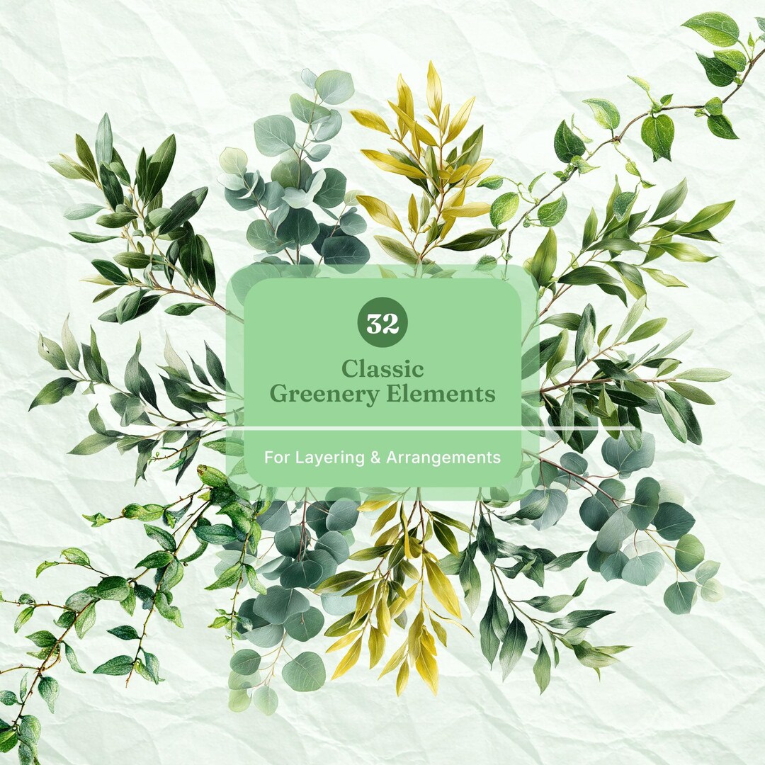 Classic Greenery Elements Clipart, Botanical Greenery PNG, Basic ...