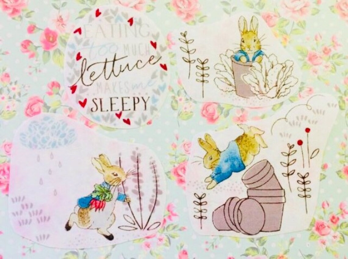 Peter Rabbit Patches Applique Fabric Motifs Iron on or Sew on - Etsy UK