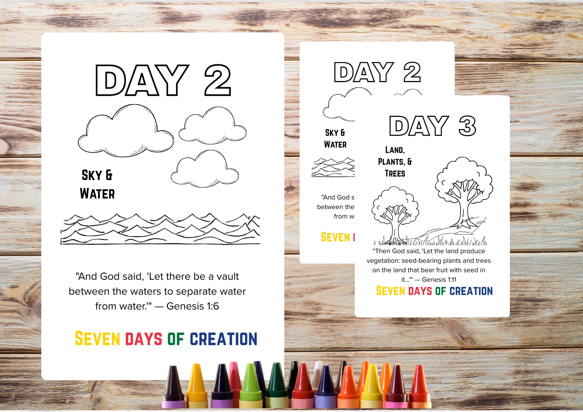 Printable Coloring Book Bible Stories Seven Days of Creation Sunday ...