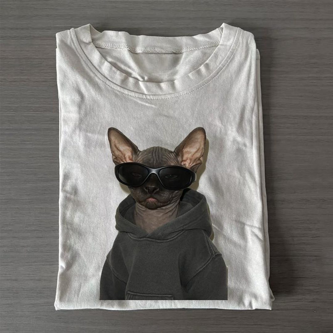 Funny Sphynx Meme T-shirt, Hairless Cat Graphic Tee, Gen Z Lifestyle ...