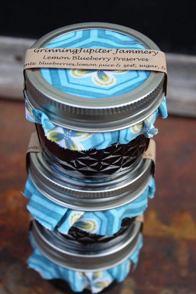 Lemon Blueberry Preserves 4oz - Etsy
