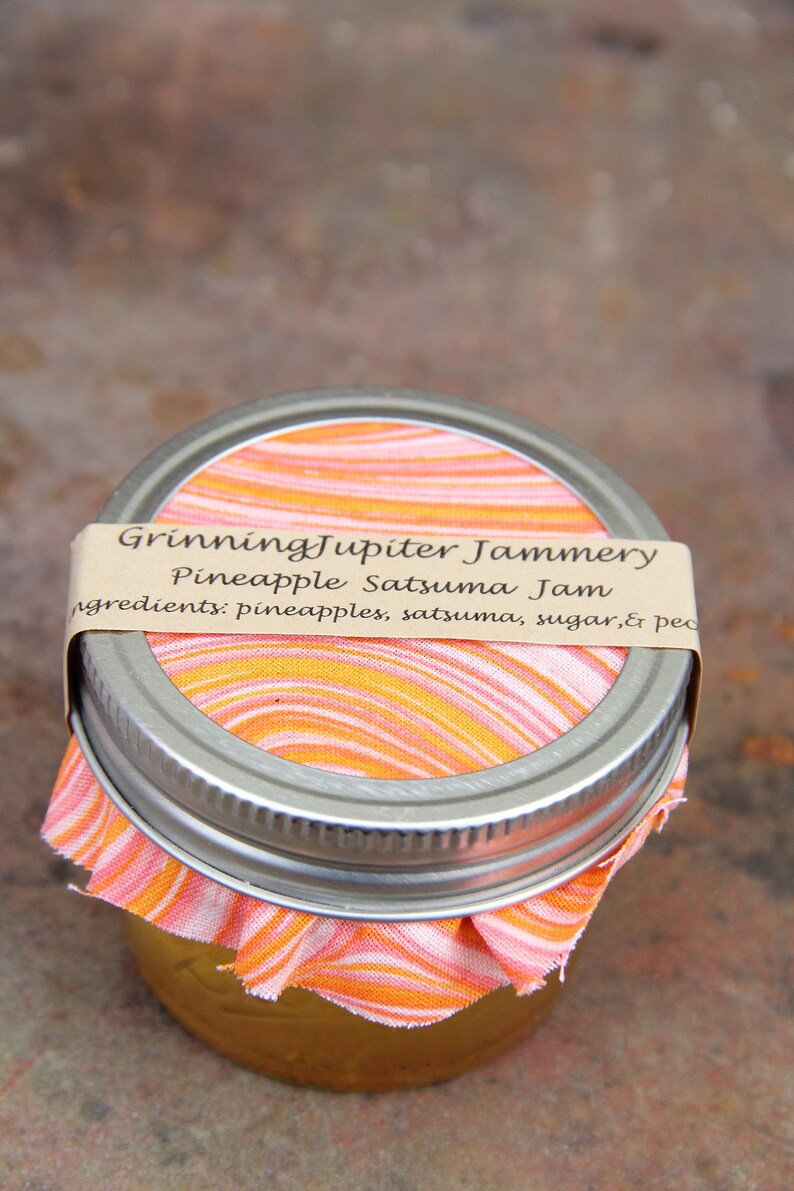 Pineapple Satsuma Jam 4oz - Etsy