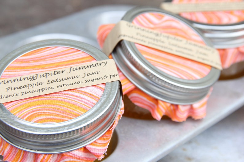 Pineapple Satsuma Jam 4oz - Etsy