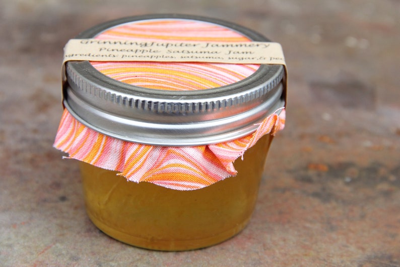 Pineapple Satsuma Jam 4oz - Etsy