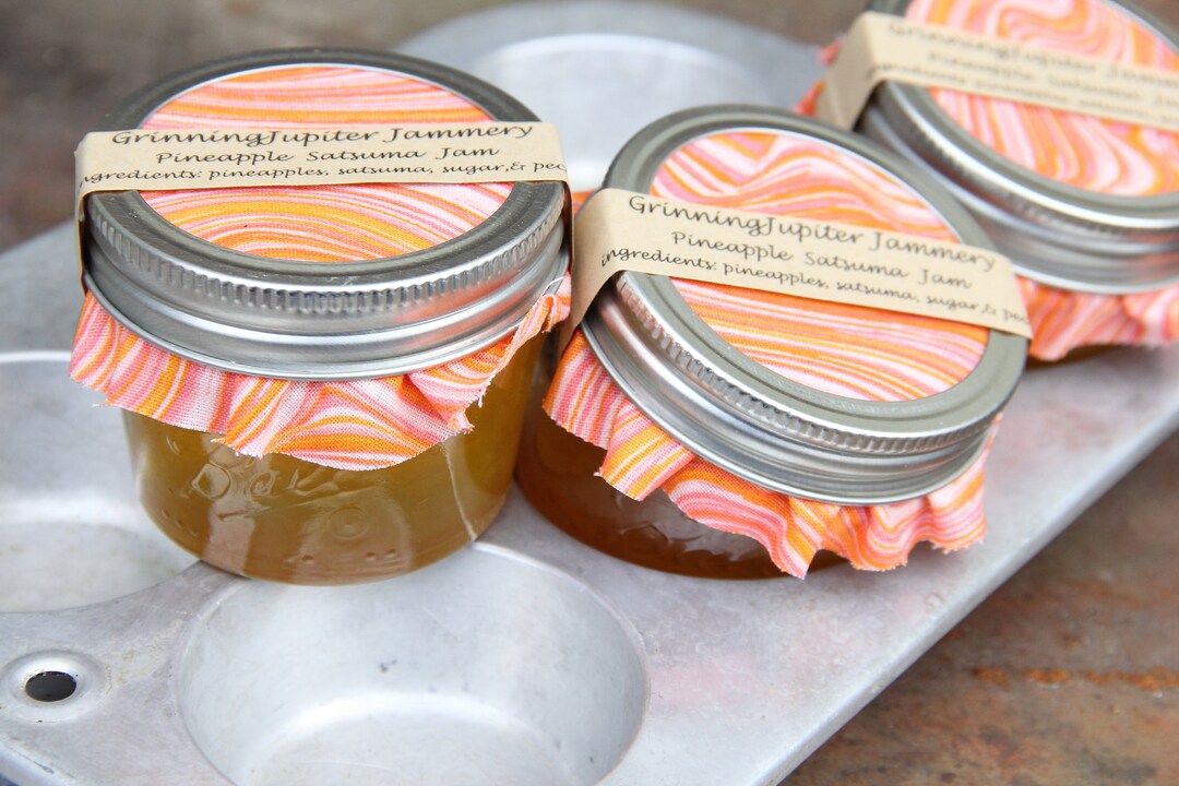 Pineapple Satsuma Jam - 4oz - Etsy