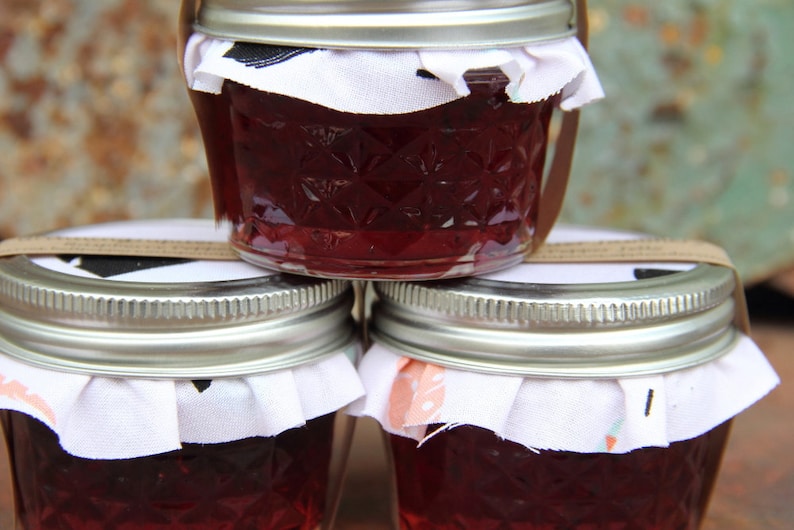 Homemade Raspberry Pepper Jelly 4oz Jar - Etsy