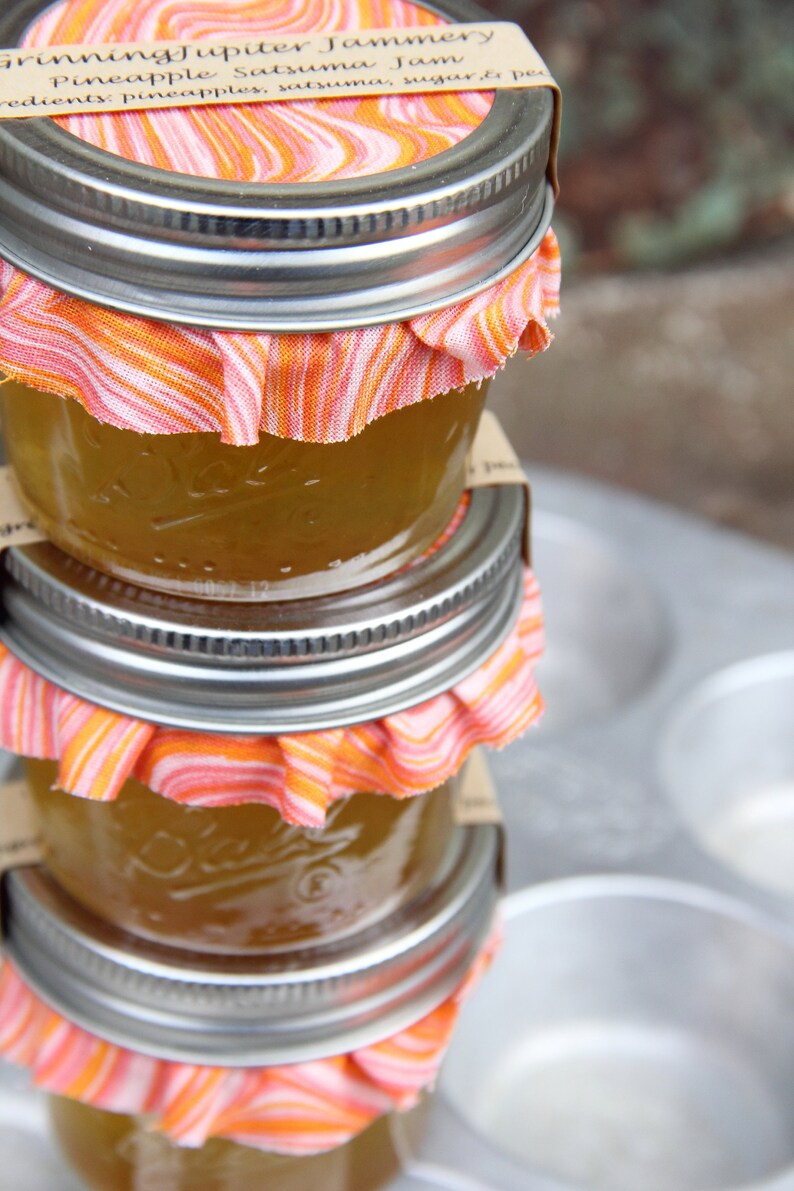 Pineapple Satsuma Jam 4oz - Etsy