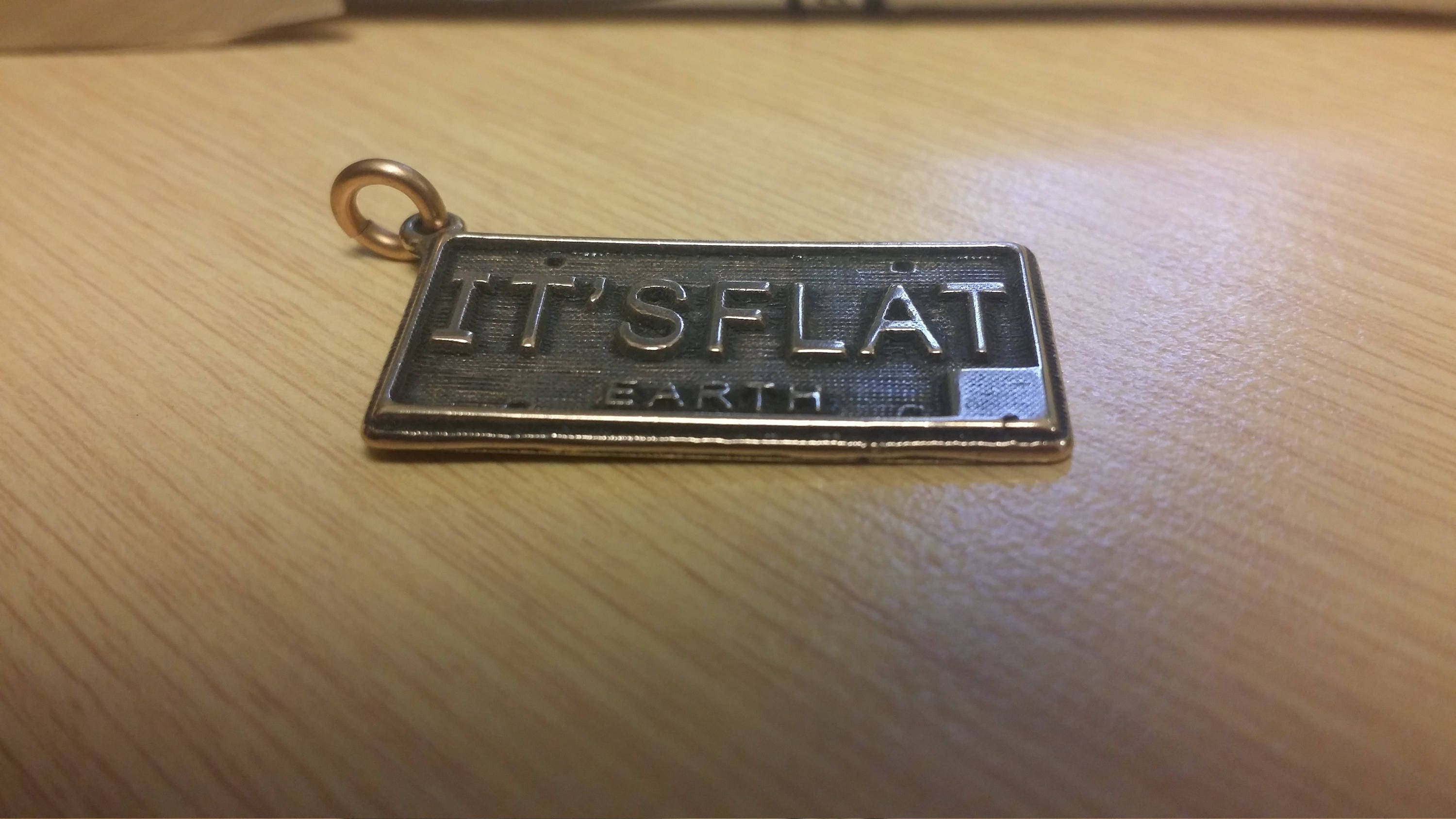 Bronze Flat Earth License Plate - Etsy