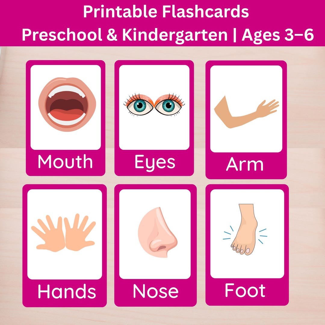 Body Parts Flashcards, Preschool Learning, Montessori Toy (PDF ...