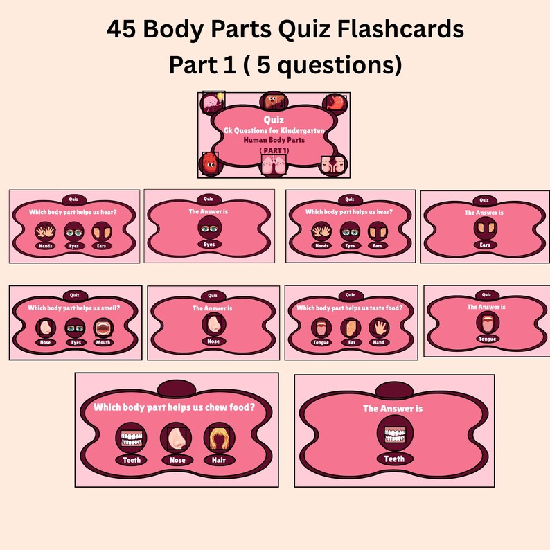 Human Body Parts Quiz Flashcards, Preschool Anatomy Activity (PDF ...