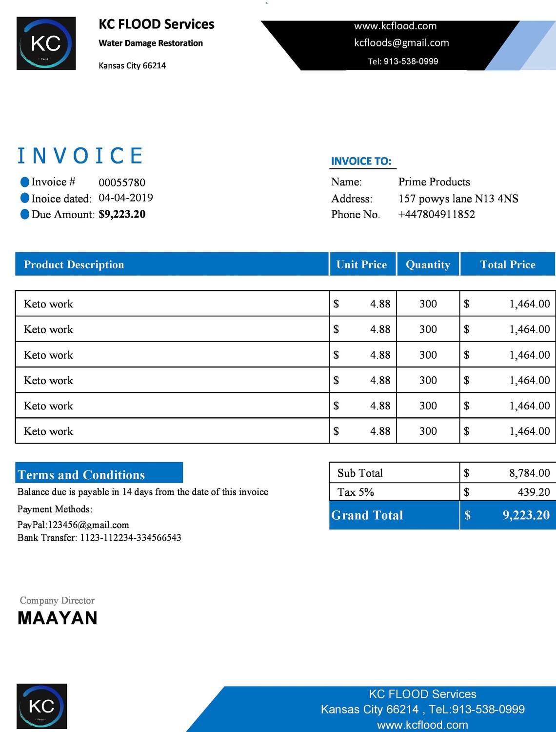 Excel Invoice Template Editable Invoice Receipt Template - Etsy