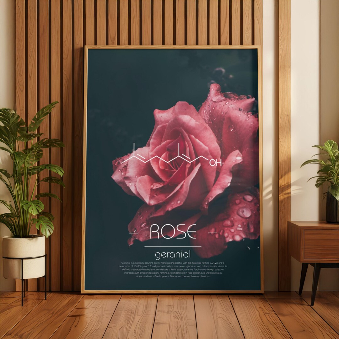 Rose Molecule Wall Art | Geraniol Chemistry Print With Floral Fragrance ...
