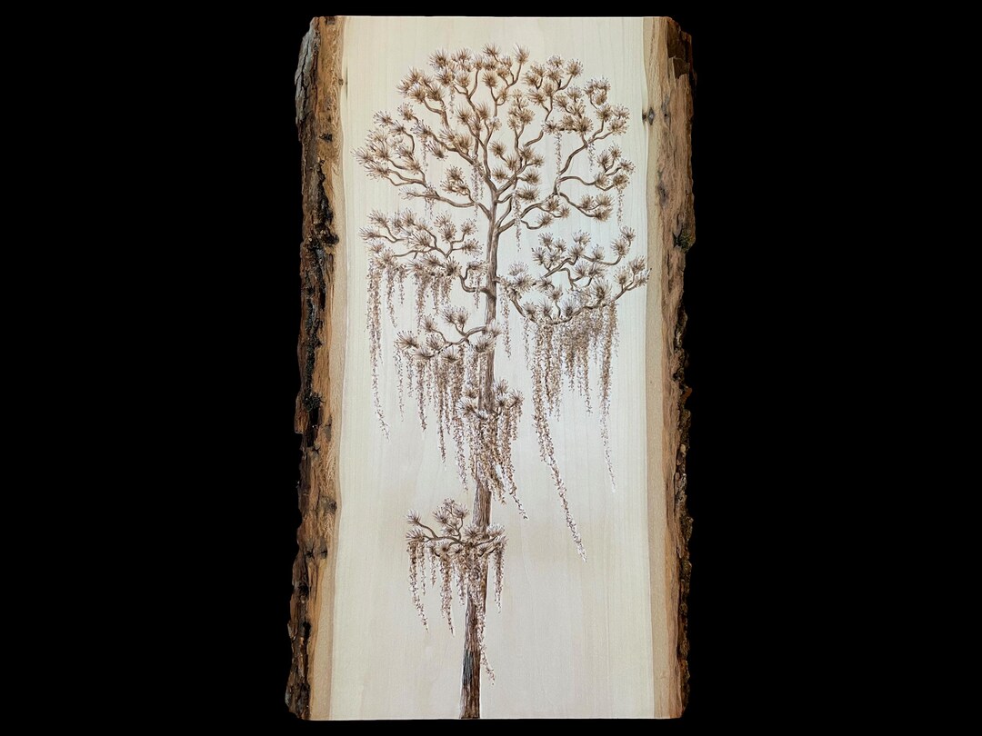 Florida Slash Pine Tree With Spanish Moss - Wood Burning - 16x9.5 ...