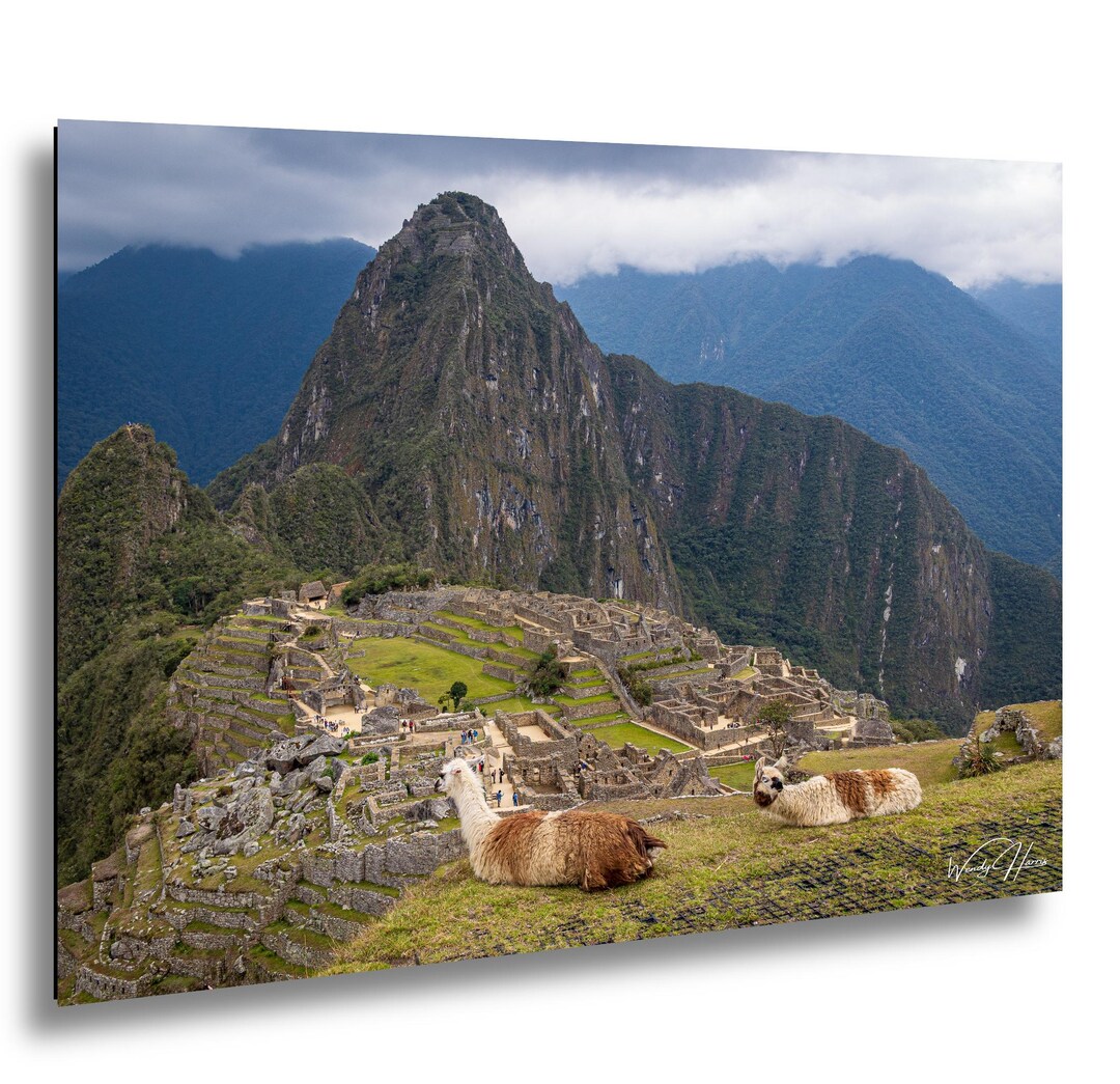 Llamas at Machu Picchu Peru Landscape and Wildlife Photography - Etsy