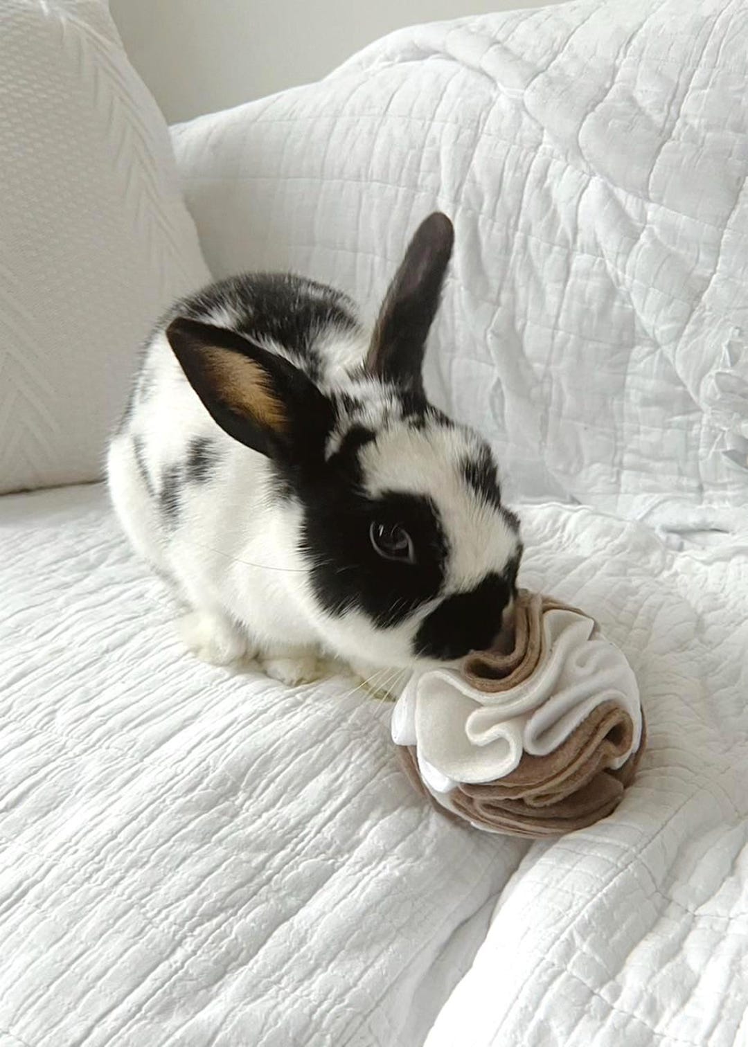 Rabbit Enrichment Toy | Beige Snuffle Ball | for Natural Foraging - Etsy
