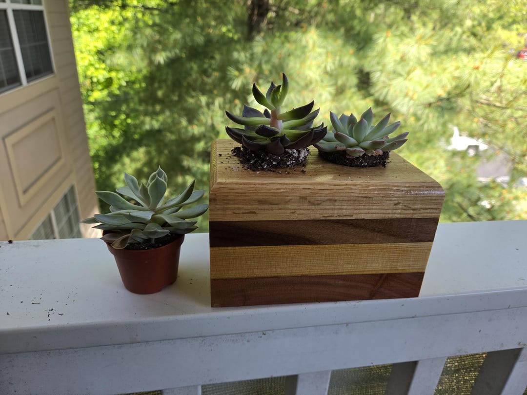 Layered Wood Display Block With Mini Succulents, Modern Natural Decor ...