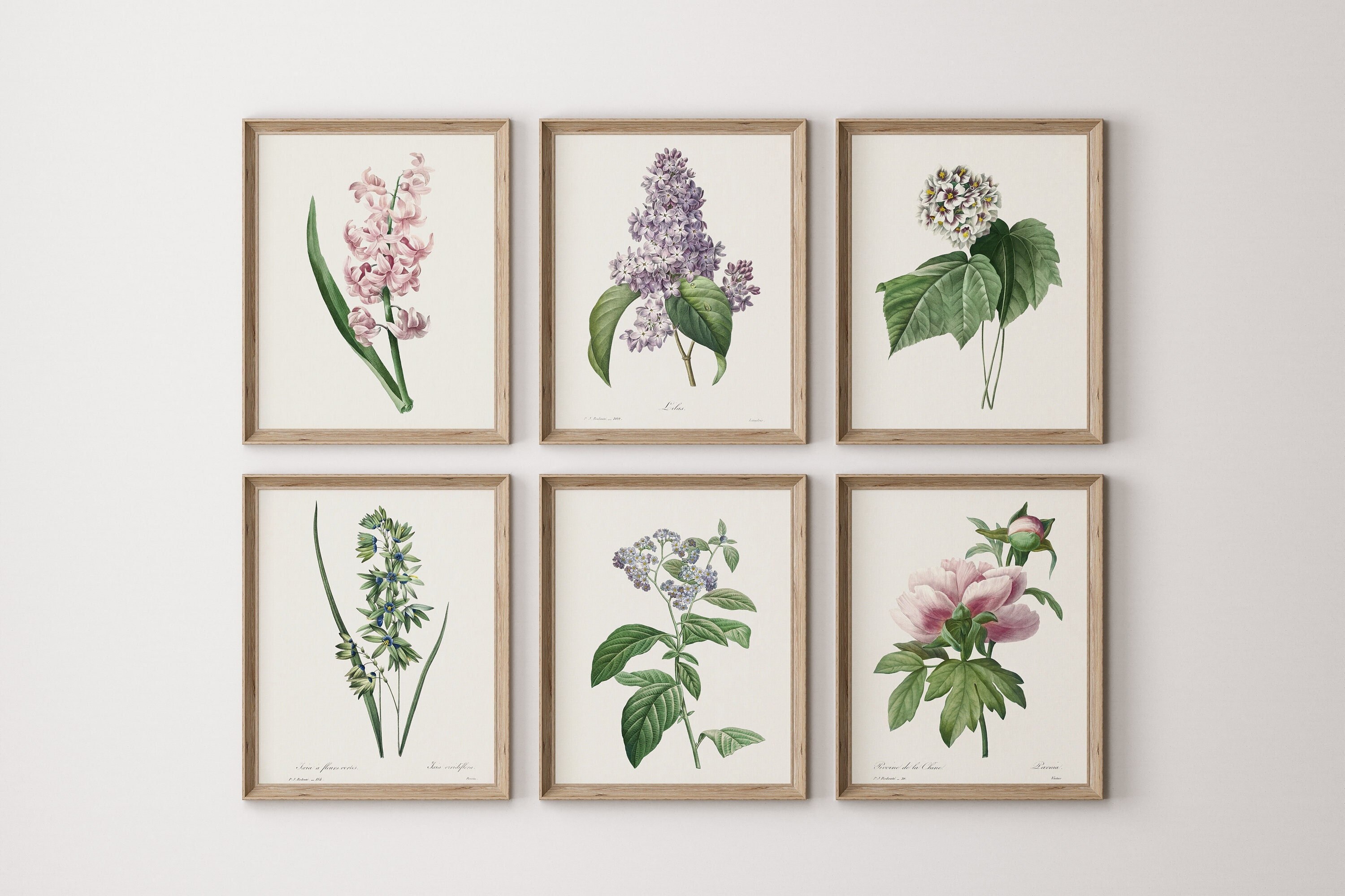 Vintage Flower Gallery Wall Art Prints: Vintage Botanical Art - Etsy