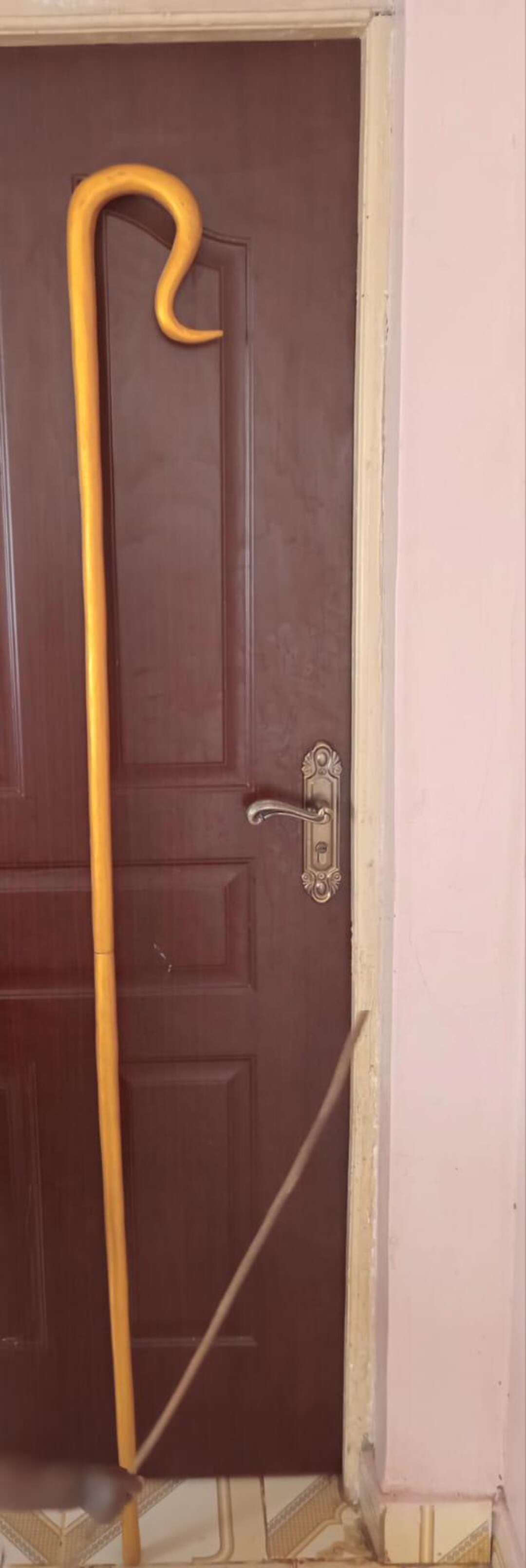 Bishop Stick/shepherd Stick - Etsy