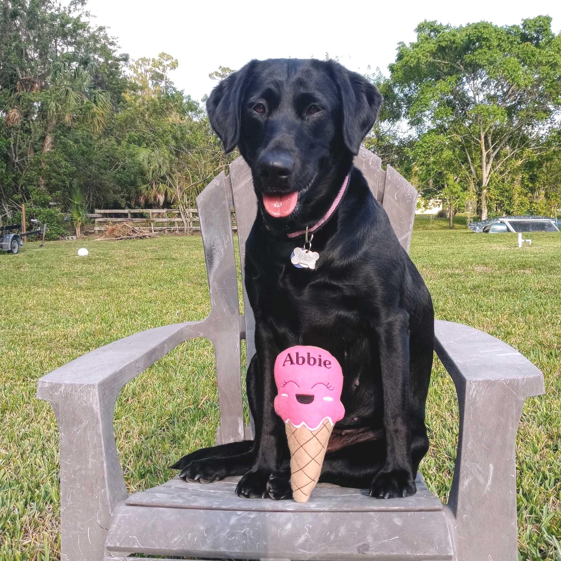 Dog/puppy Customized Ice Cream Cone Toy - Etsy