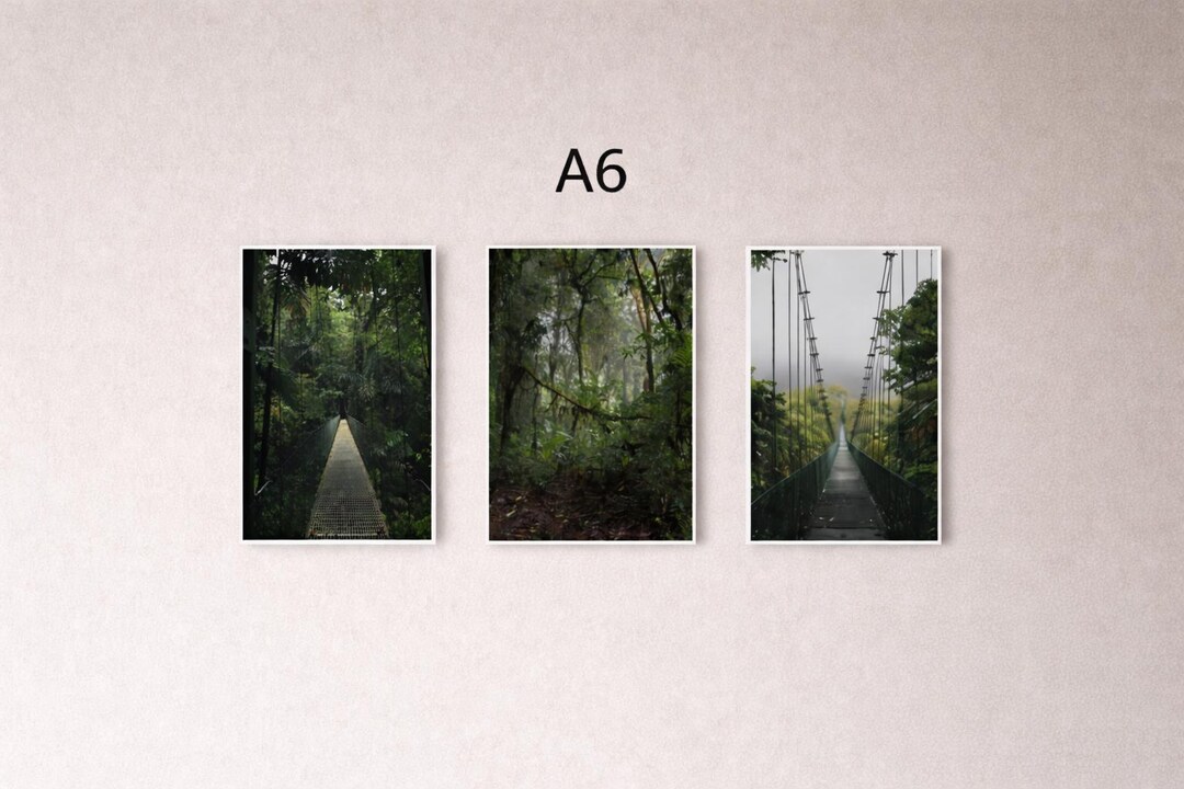 Tropical Rainforest Postcard Set – A6 Nature Wall Art, Jungle Travel ...