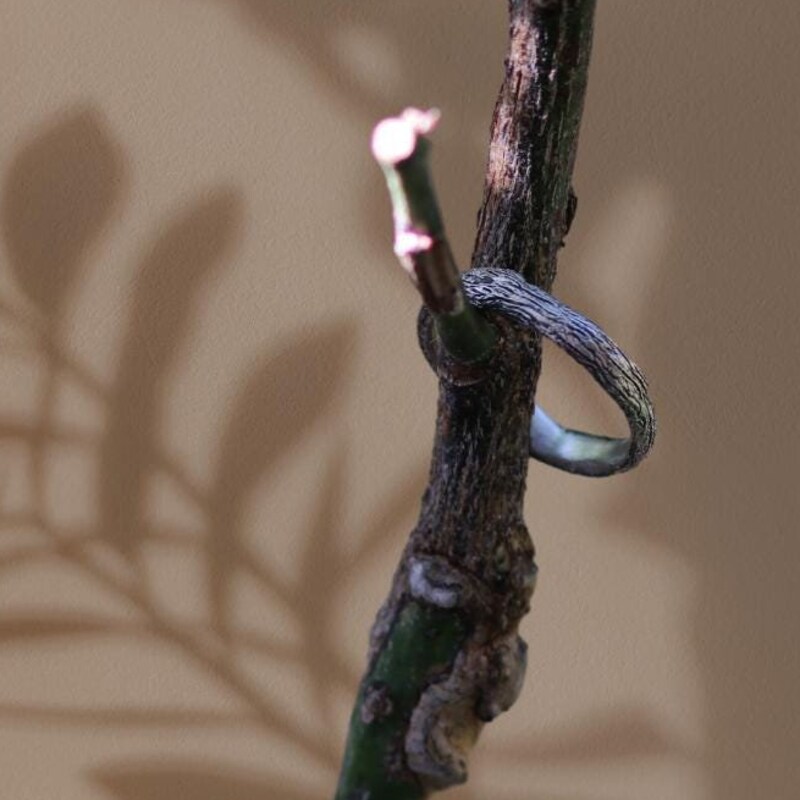 Tree Bark Ring - Etsy