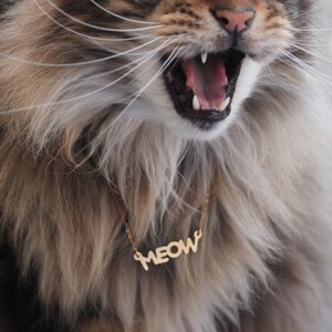 Gold MEOW Necklace, MEOW Charm, Gift for Cat Lover, Cat Jewelry, Cat ...