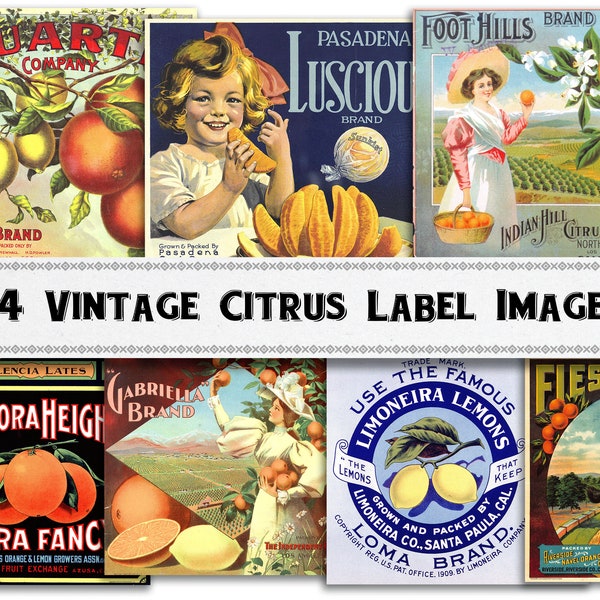 Citrus Crate Label - Etsy