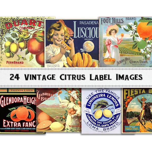 Citrus Crate Label - Etsy